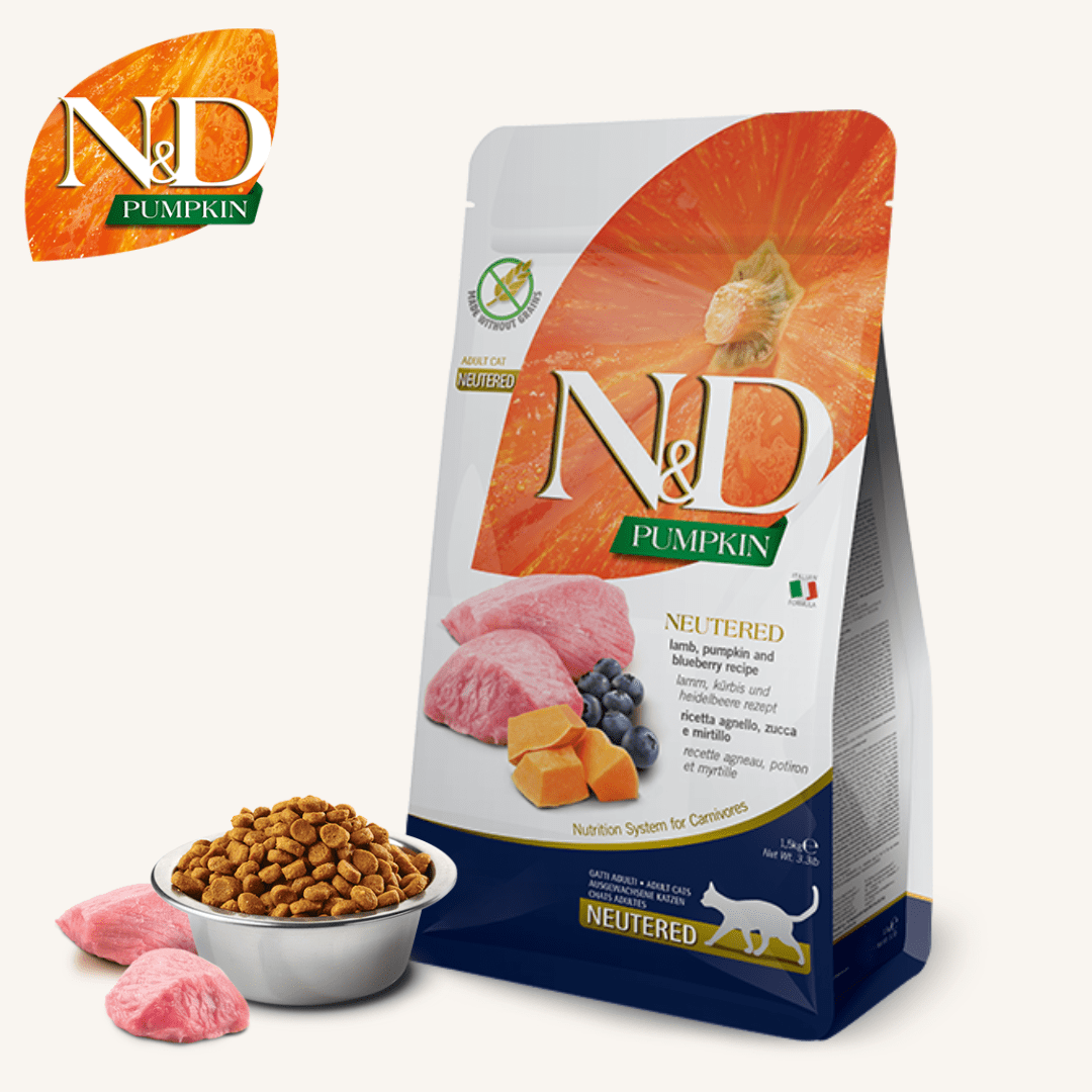N&D Pumpkin ǀ STERILISED mačji briketi - JAGNJETINA – Forapet